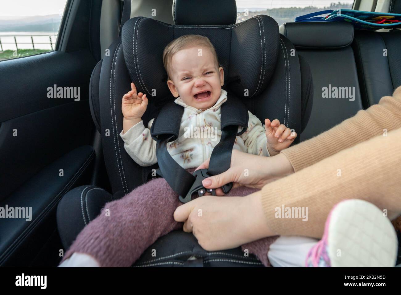 Crying toddler girl sitting in safety car seat. Baby is sad, upset and ...