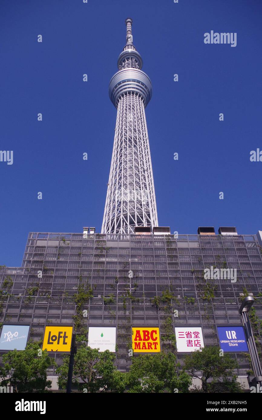 Tokio sky tree hi-res stock photography and images - Alamy