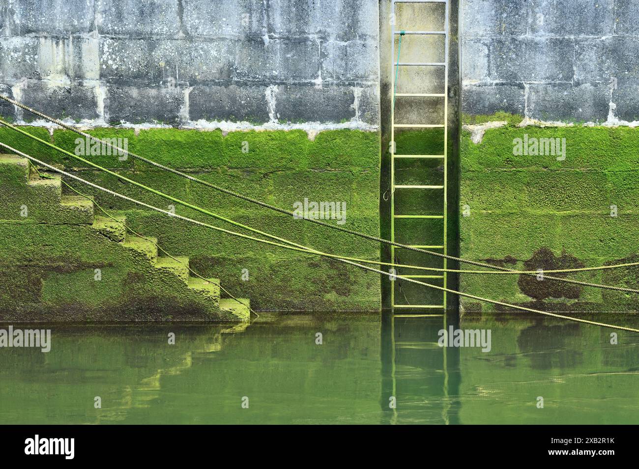 A serene harbor scene with moss-laden steps and vertical ladder ...