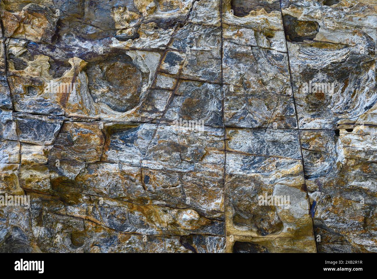 Detailed image showing the complex textures and colors of a rugged ...
