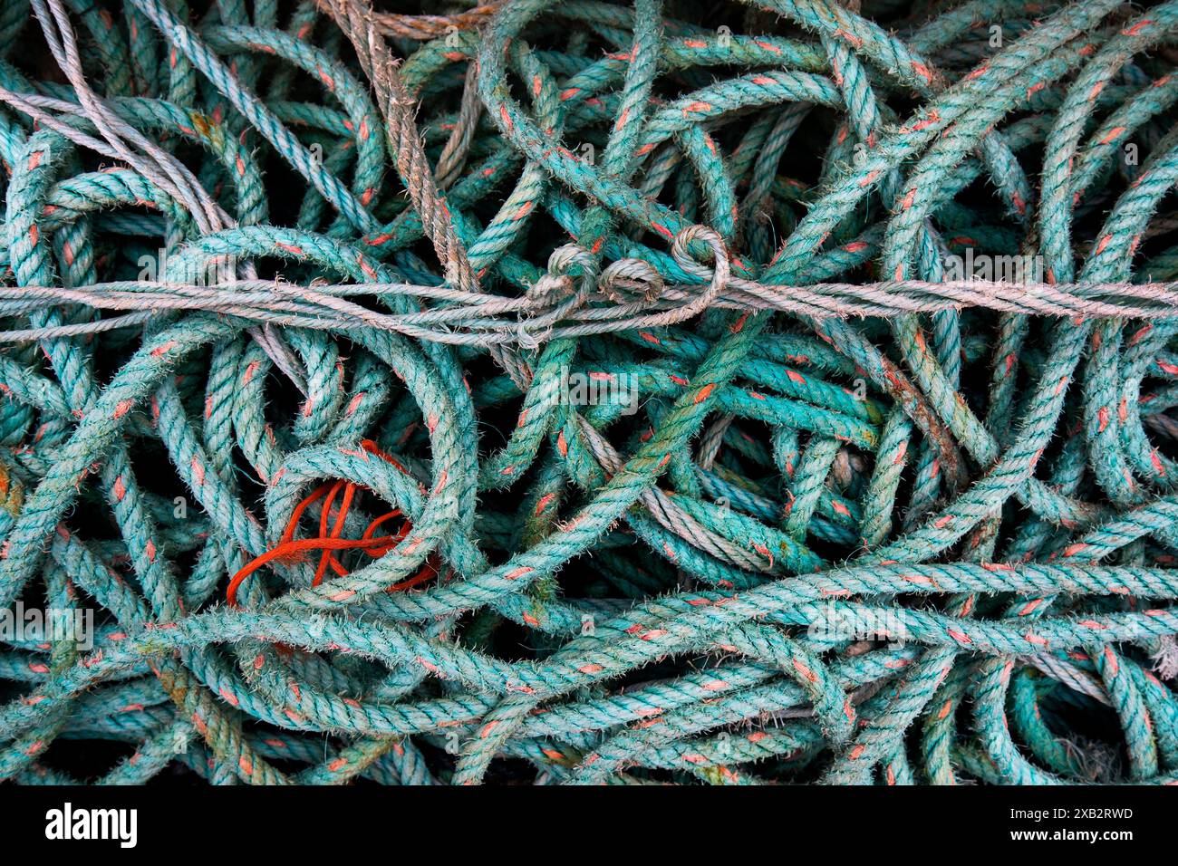 A close-up of weathered and tangled green fishing ropes with flecks of ...