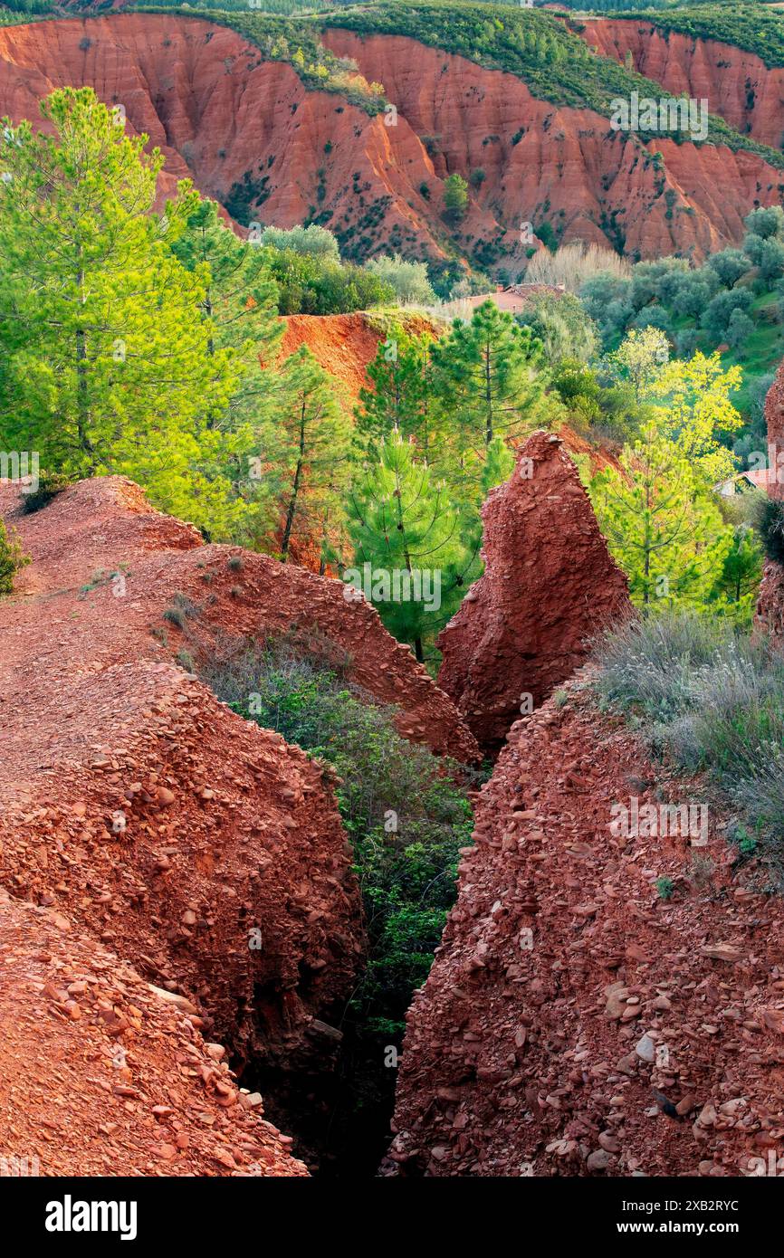 A serene landscape showcasing the contrast of lush green trees against ...