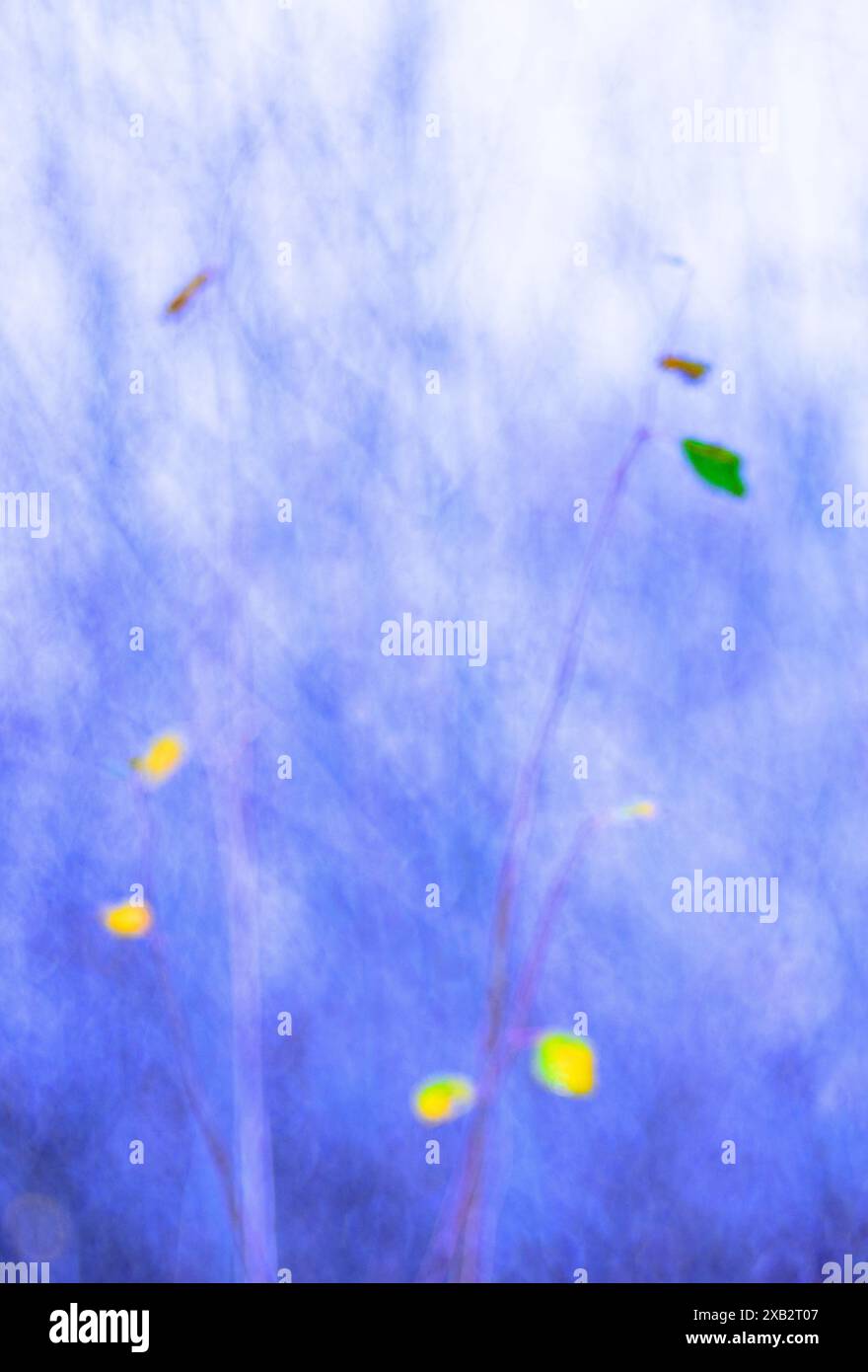 Vibrant abstract representation of plant life hi-res stock photography ...