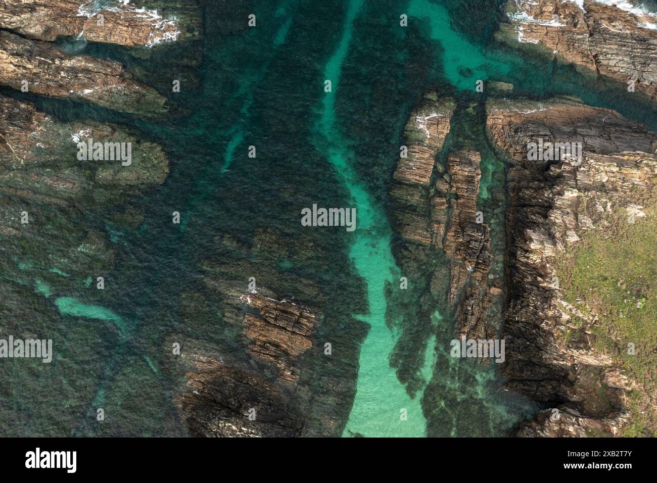An overhead shot capturing the textural contrast between rugged fineart ...