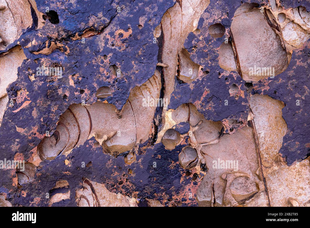 An intricate fineart display of natural rock formations, showcasing ...