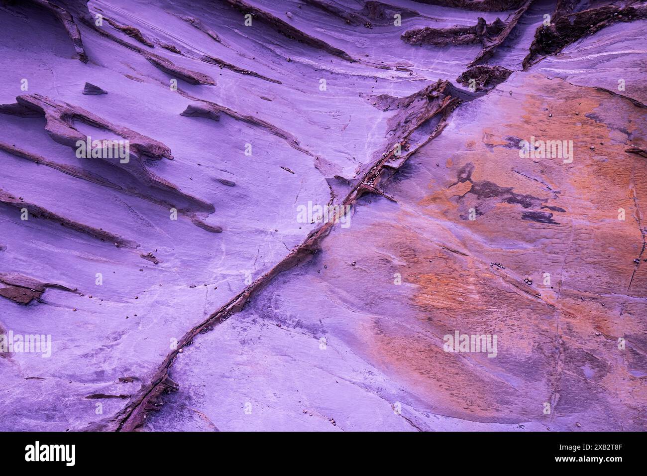A fine art photography showcasing purple and golden abstract rock ...