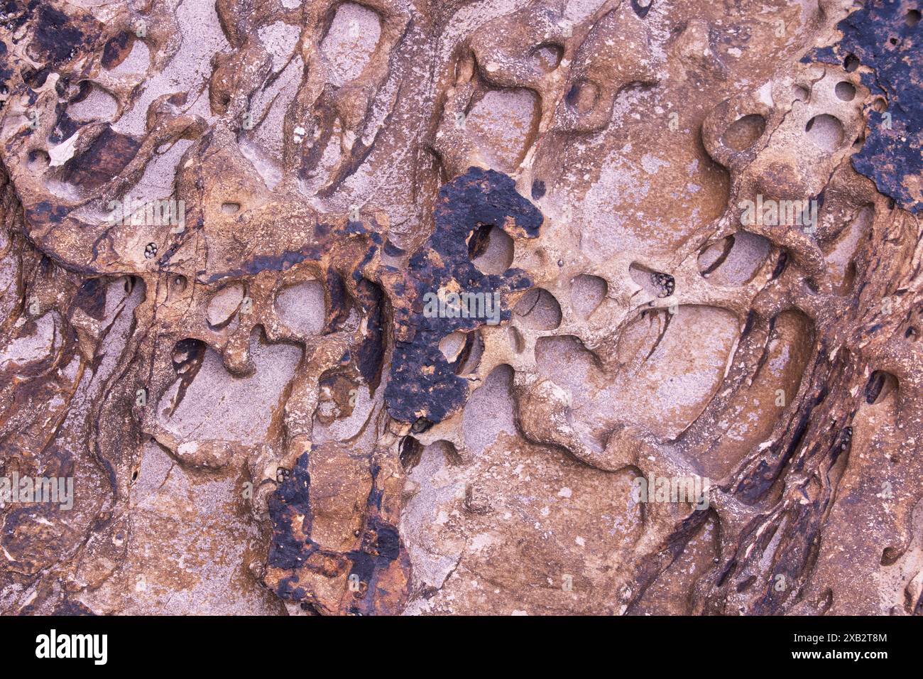 Close-up of a weathered rock surface showcasing unique erosion patterns ...