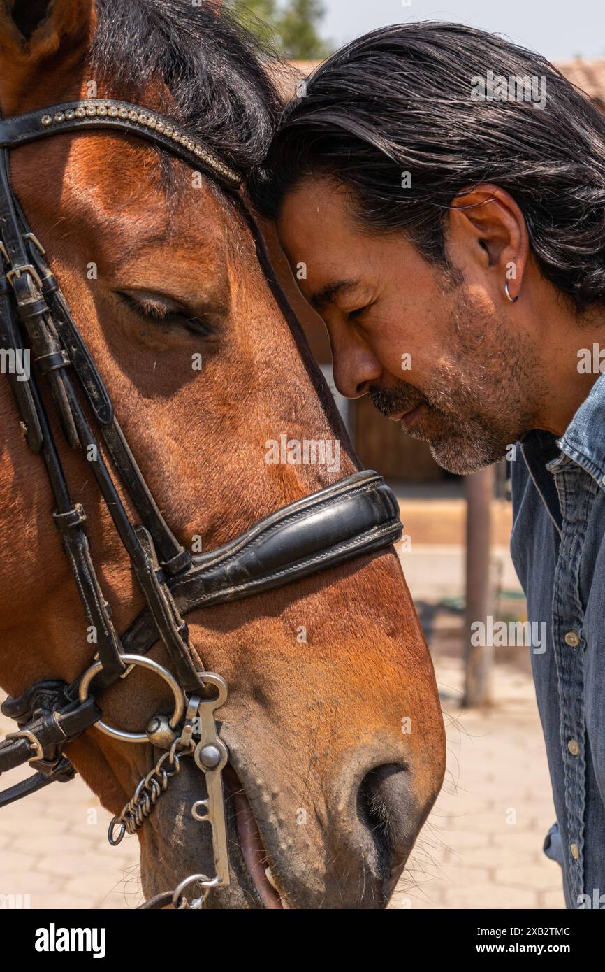 A close-up photo captures a poignant moment between a man and a horse ...