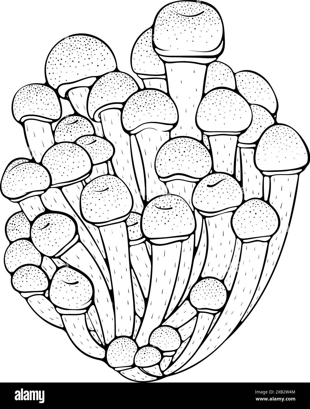 Healthy honey fungus cartoon Cut Out Stock Images & Pictures - Alamy
