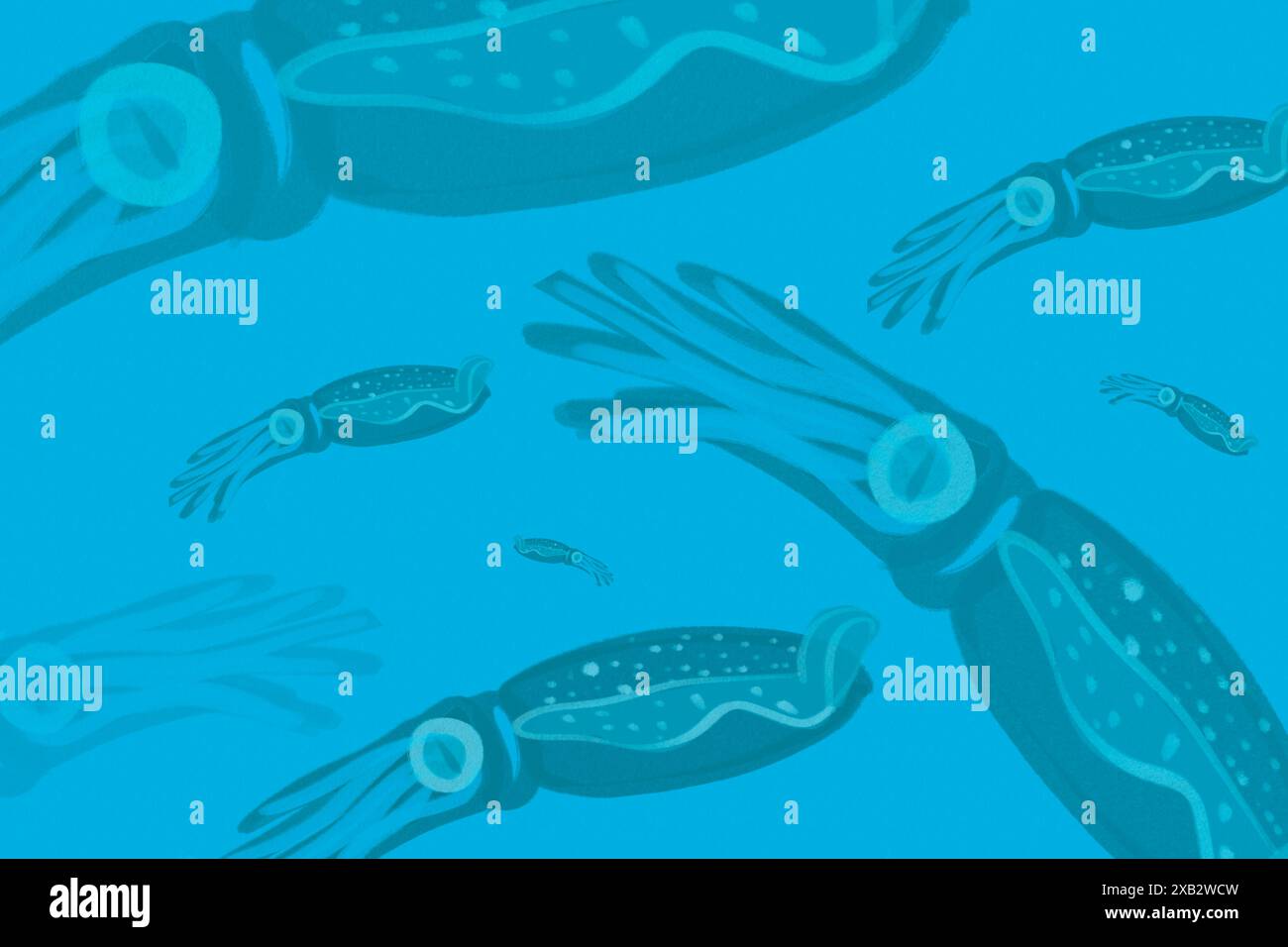 Depicted in different sizes hi-res stock photography and images - Alamy