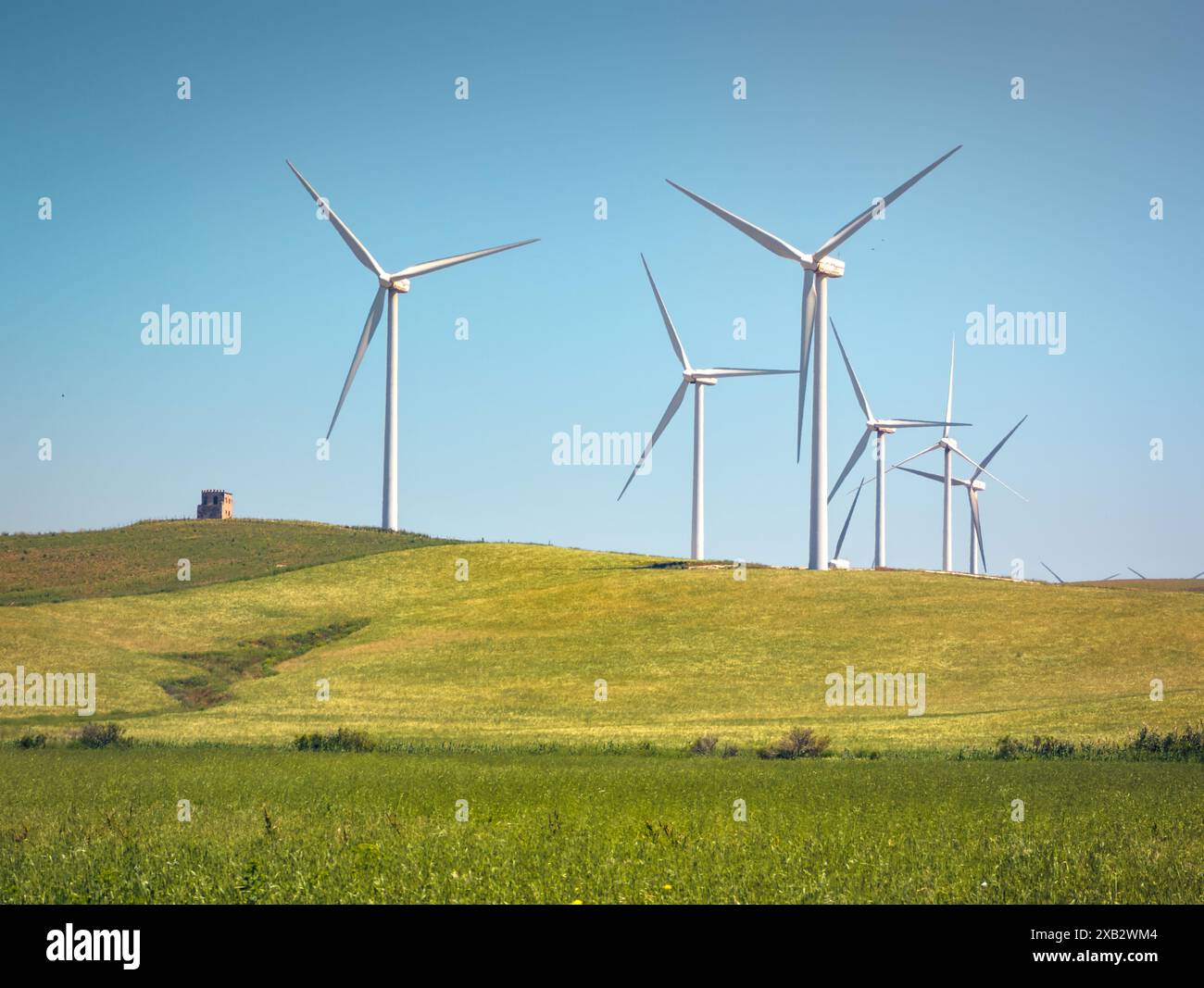 Wind turbines tower over the lush landscape of Cadiz, with a blue sky ...