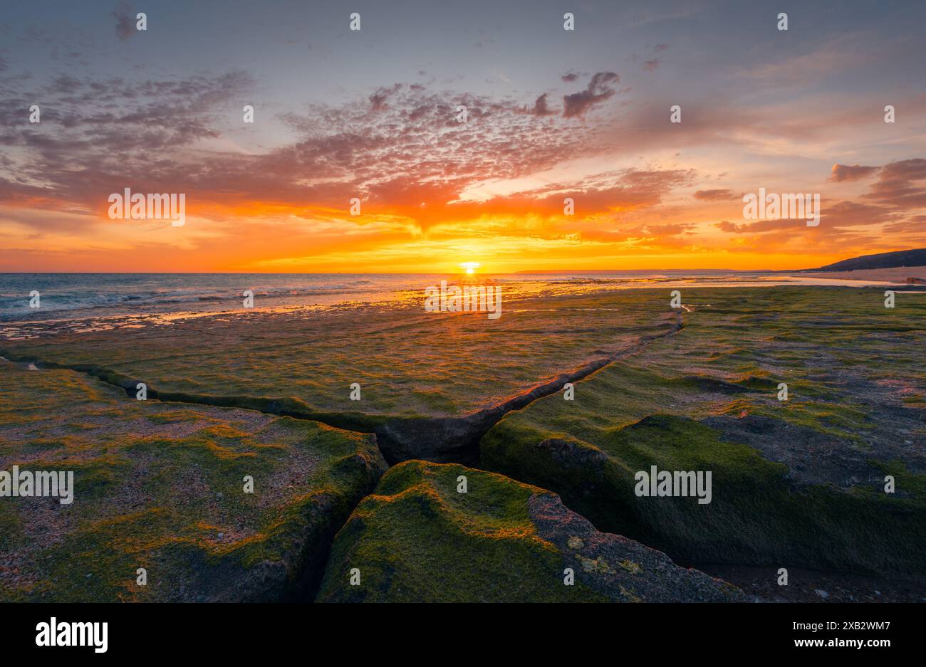 Vibrant seas hi-res stock photography and images - Alamy