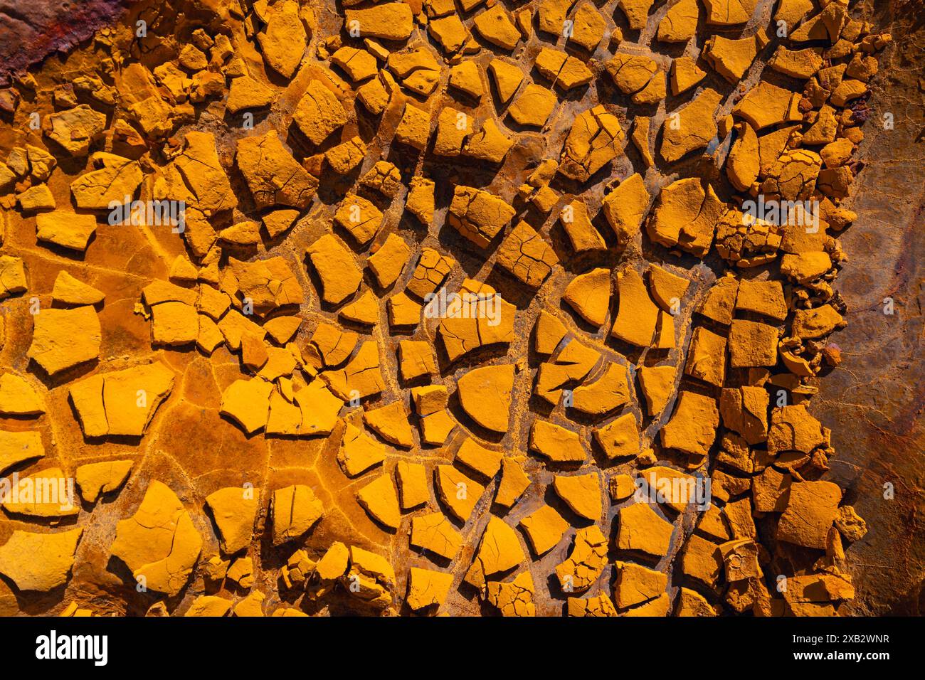 Overhead view of cracked yellow earth, highlighting natural textures at ...
