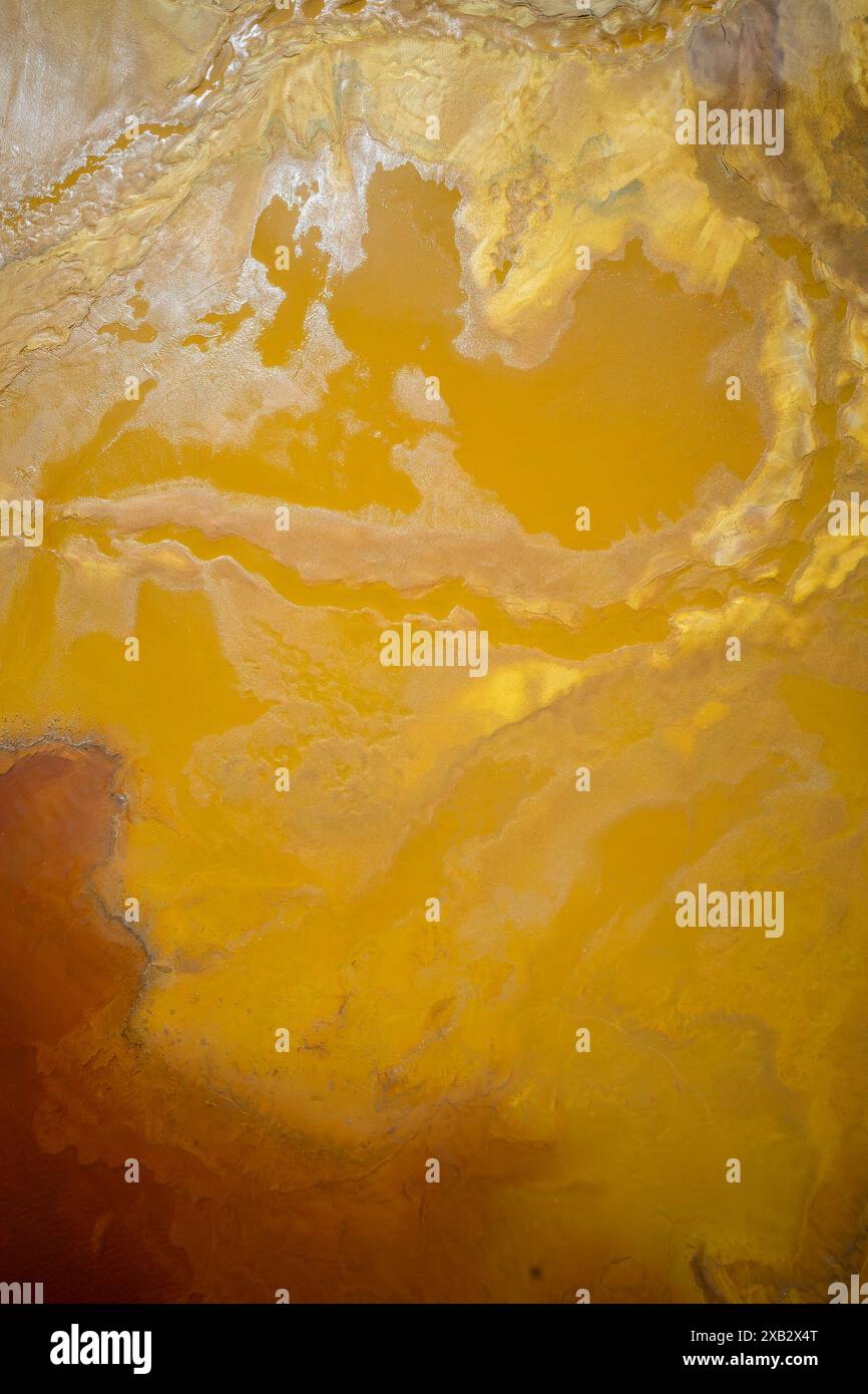 A striking image capturing the abstract and vibrant textures of ...