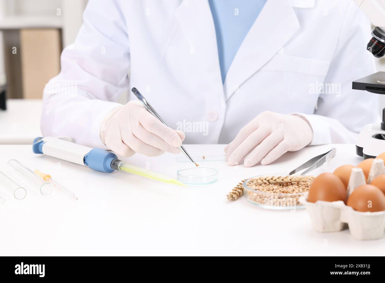 Quality control. Food inspector examining wheat grain in laboratory ...