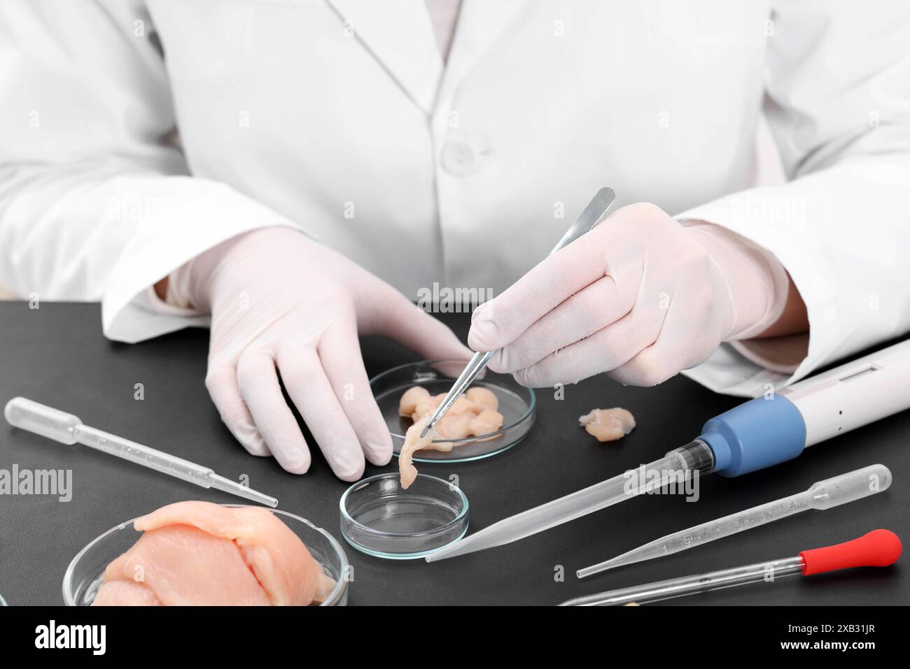 Quality control. Food inspector examining meat in laboratory, closeup ...