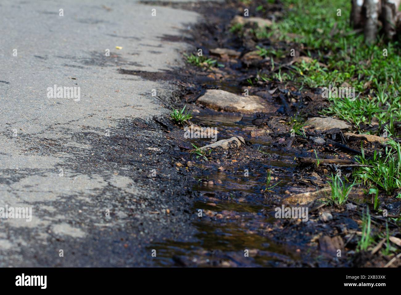 Munnar neelakurinji tourist hi-res stock photography and images - Alamy
