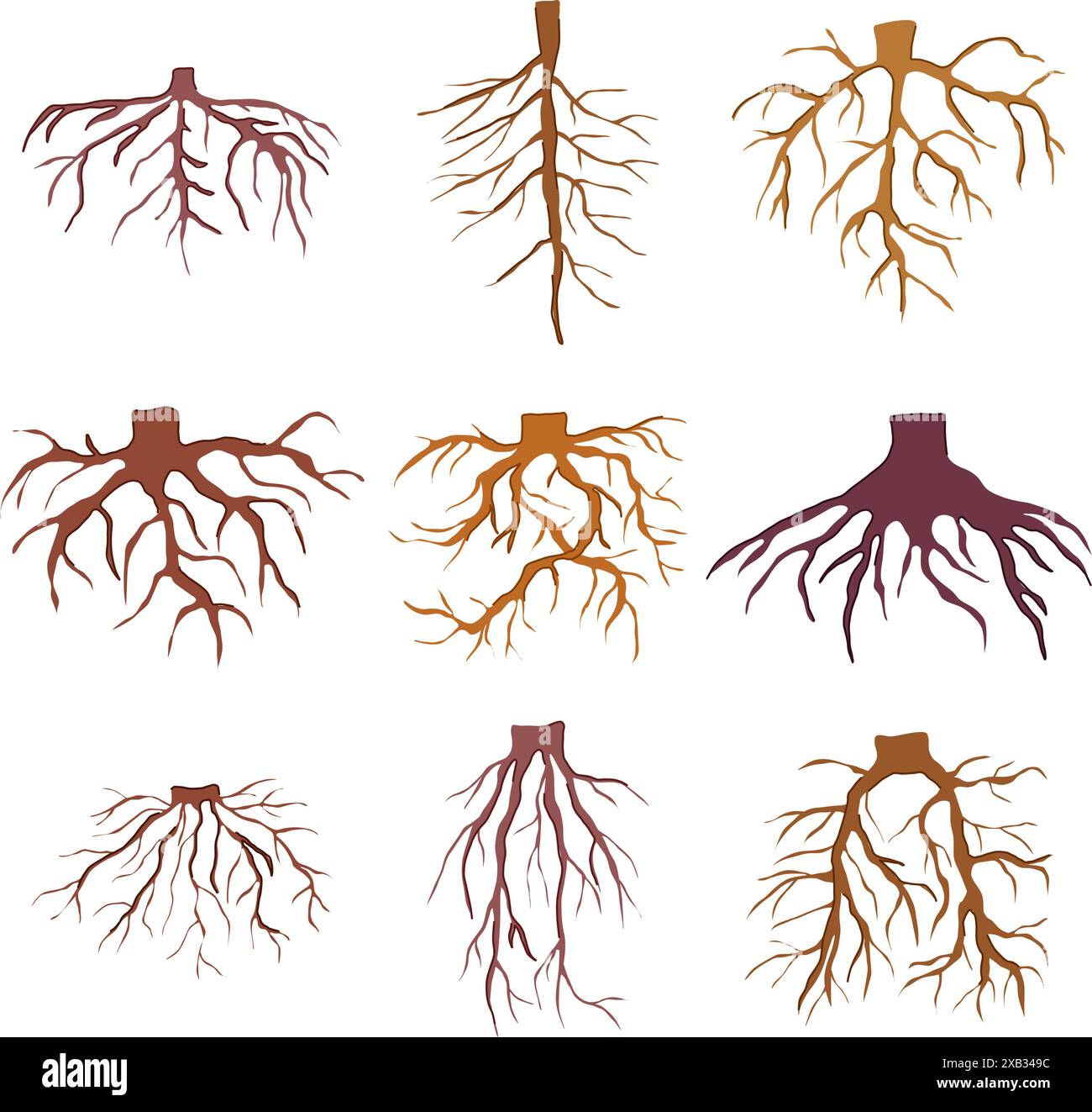 tree root set cartoon vector illustration Stock Vector Image & Art - Alamy