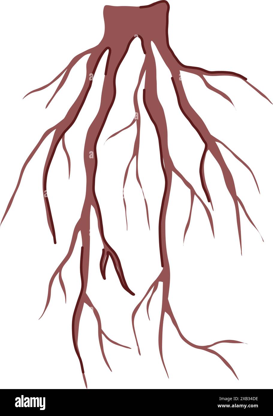 graphic tree root cartoon vector illustration Stock Vector Image & Art ...