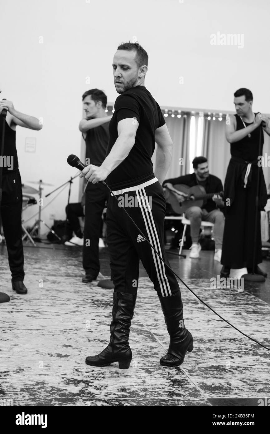 The dancer Manuel Liñan during his performance of the preview of his ...