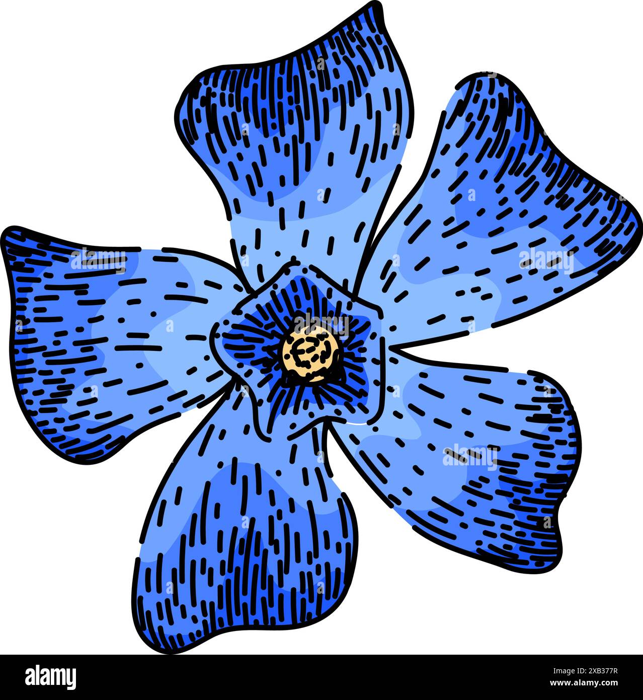 vinca periwinkle sketch hand drawn vector Stock Vector Image & Art - Alamy