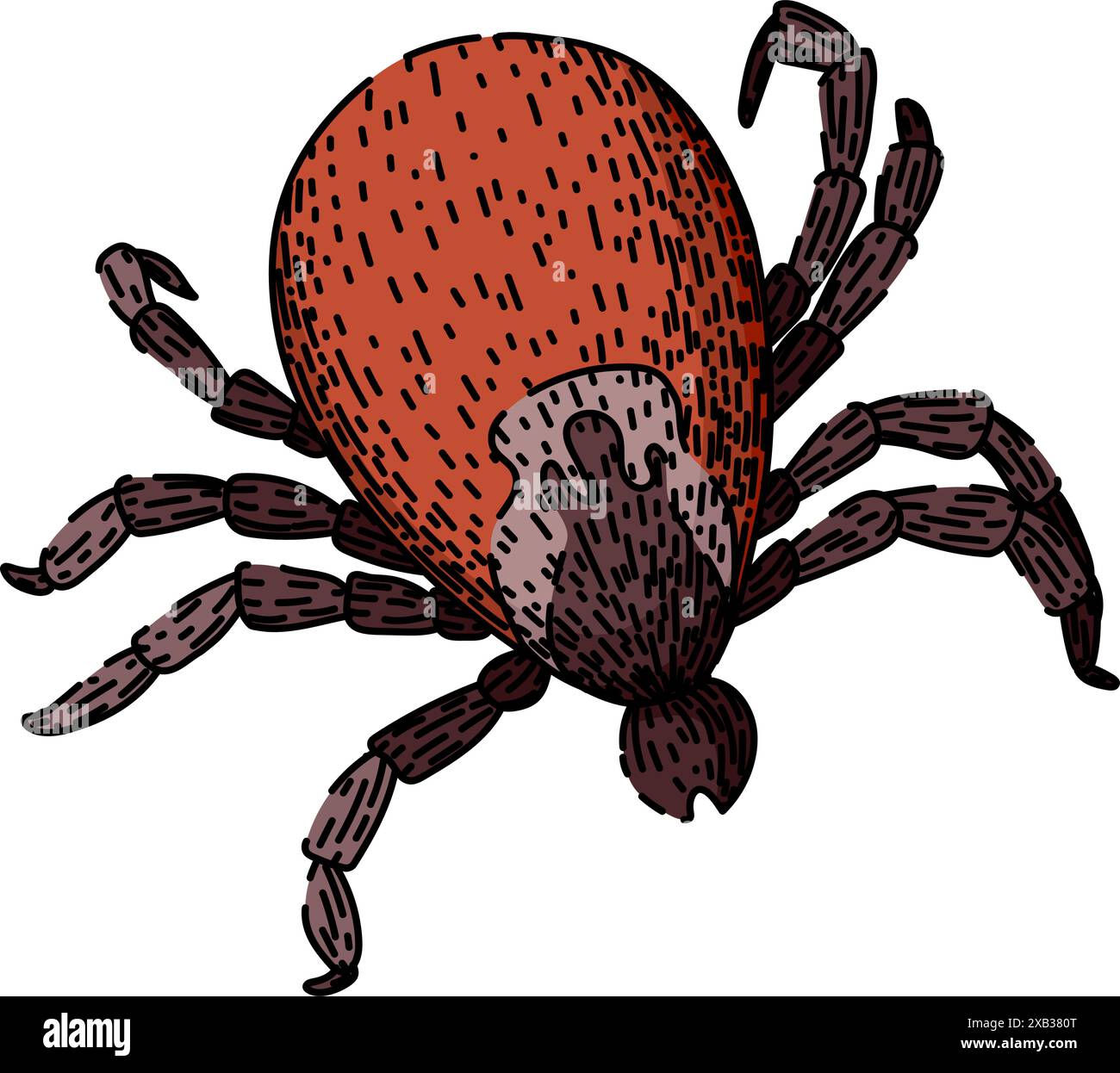 bite tick sketch hand drawn vector Stock Vector Image & Art - Alamy