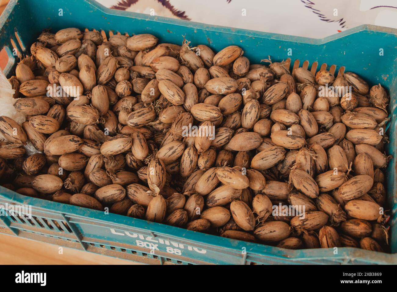 box with harvest of pecans Stock Photo - Alamy
