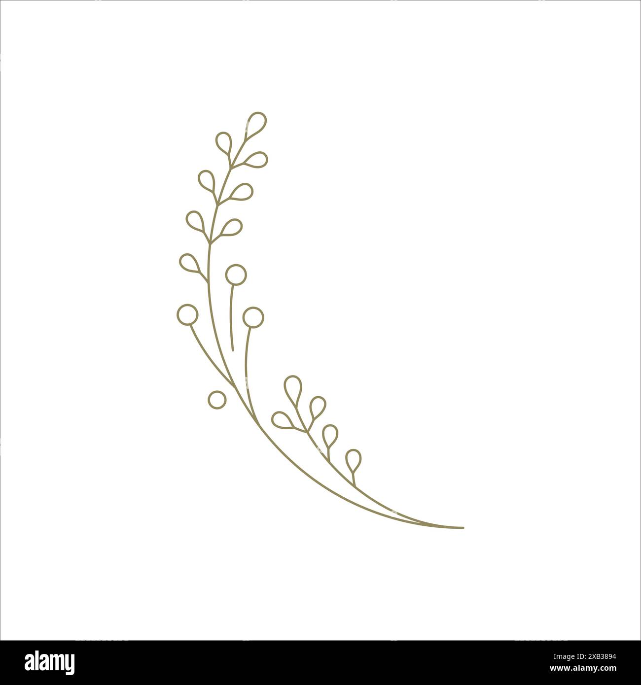 Monochrome curved tree branch with berries hand drawn linear decor ...