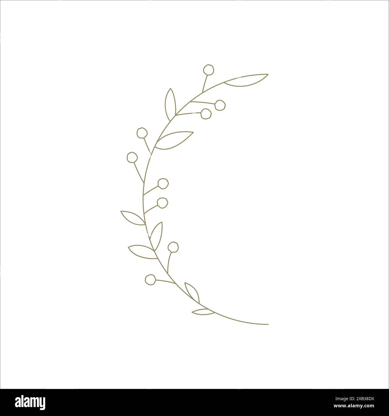 Gentle botanical curved tree branch with leaves and berries line art ...