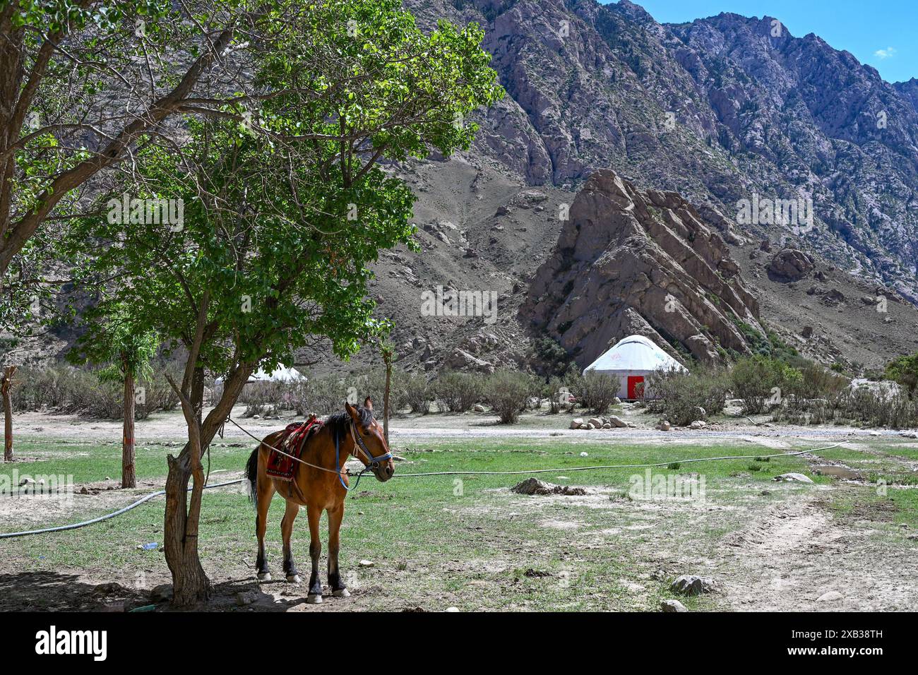 Baicheng. 9th June, 2024. This photo taken on June 9, 2024 shows a view ...