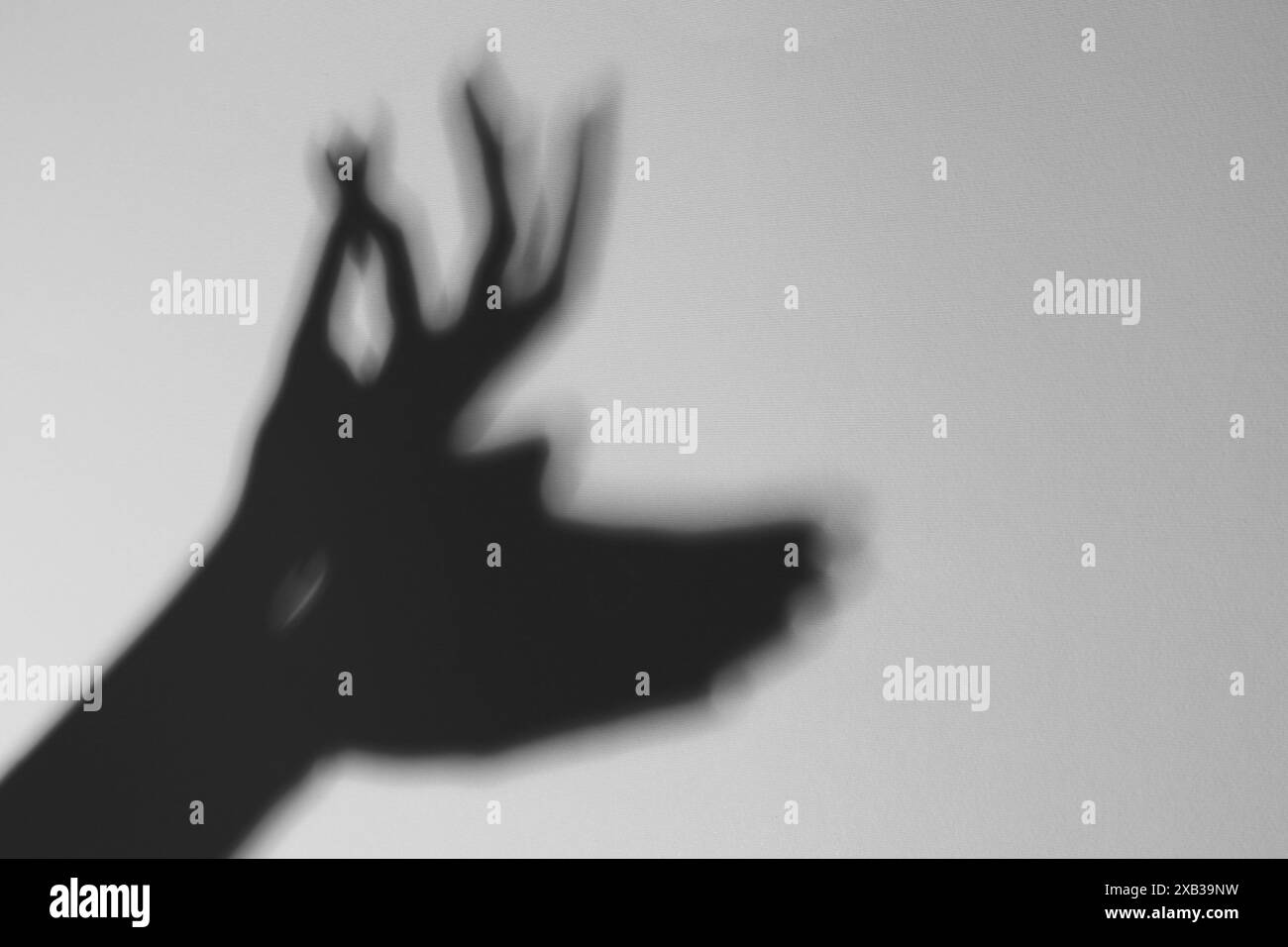 Shadow of hands like deer on light background, closeup with space for ...