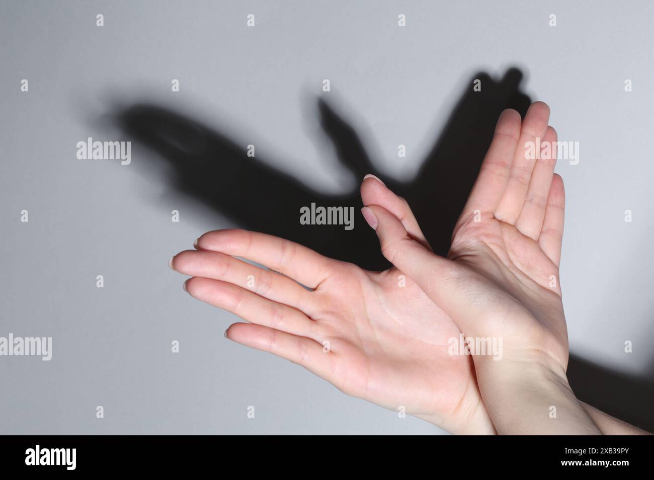Hand shadow puppet bird hi-res stock photography and images - Alamy