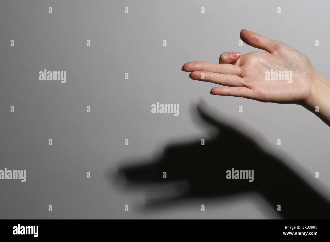 Shadow puppet. Woman making hand gesture like dog on grey background, closeup. Space for text ...