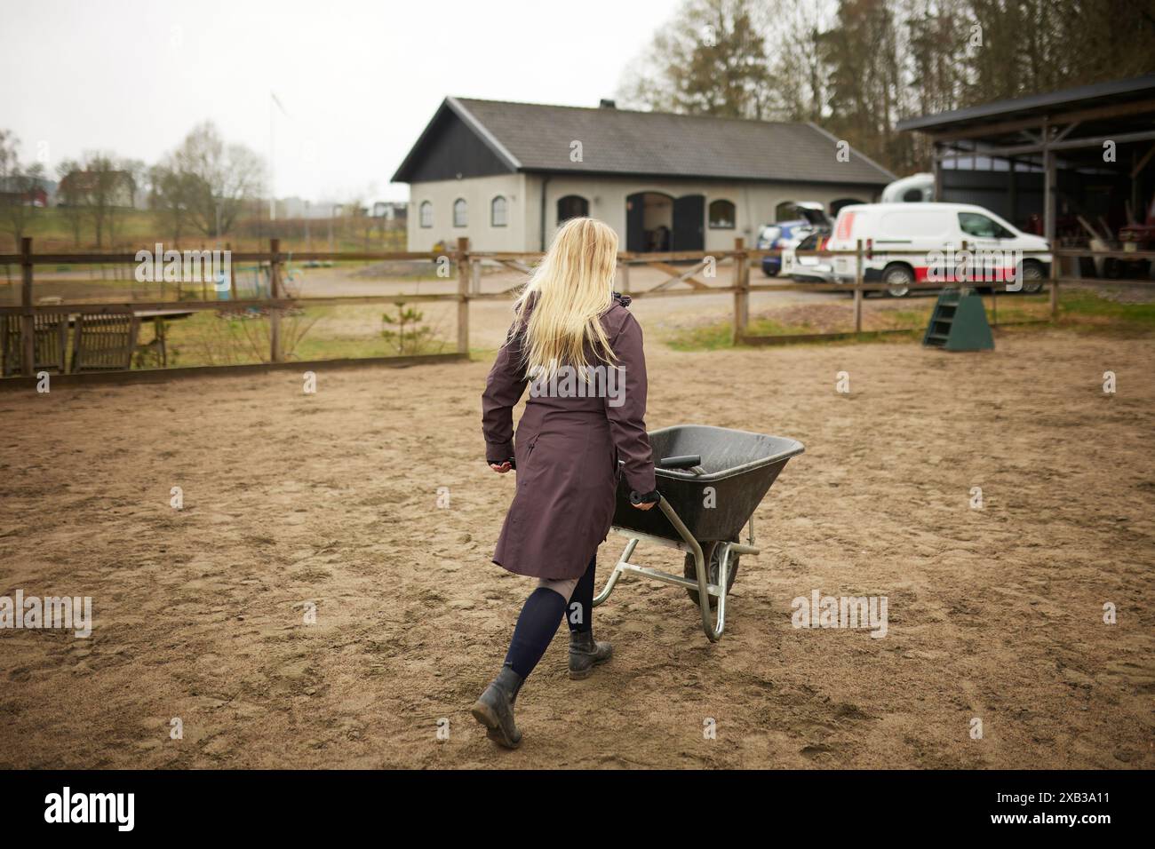 Rear view of blond woman with wheelbarrow walking at ranch Stock Photo ...