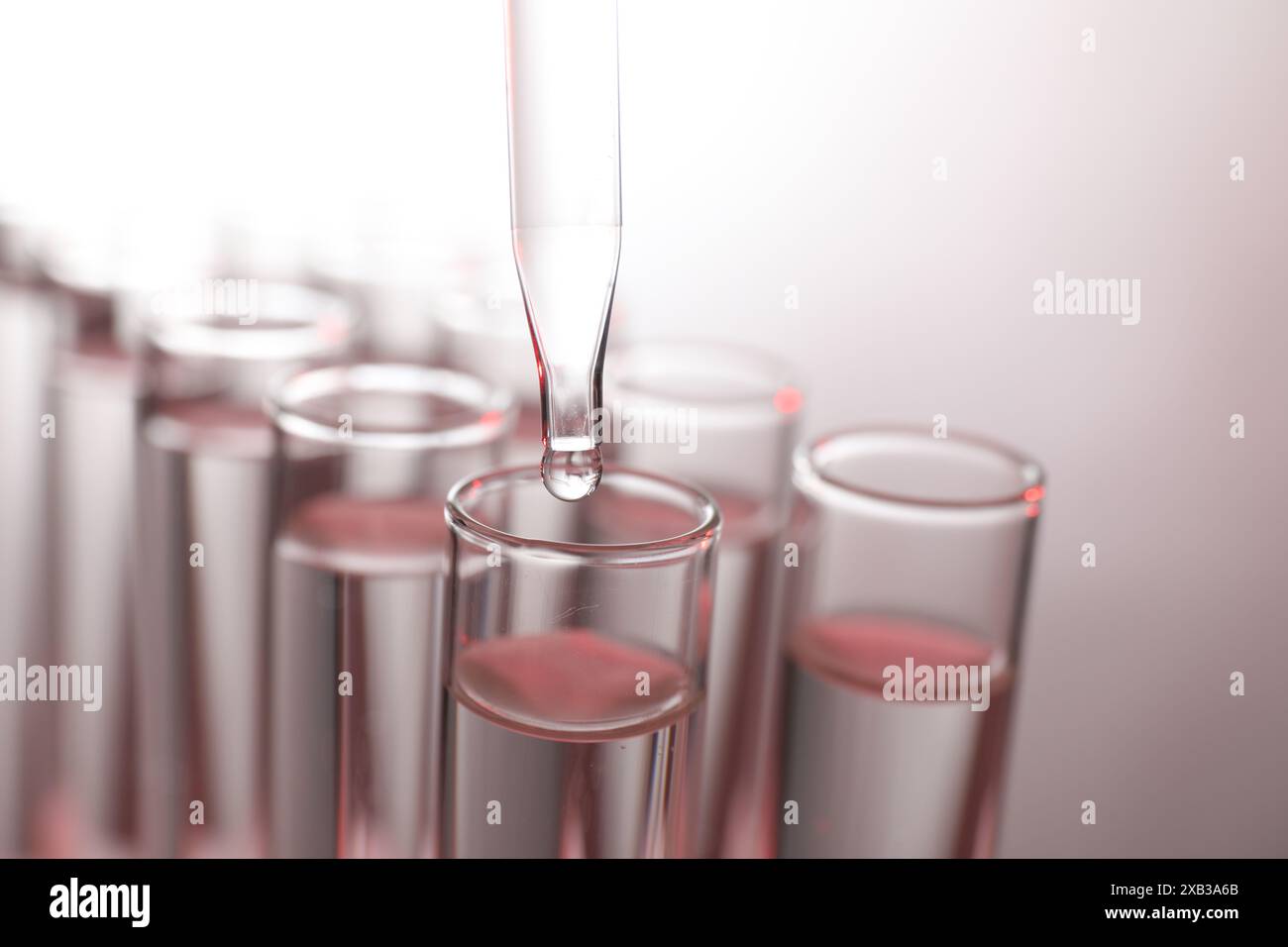 Dripping liquid from pipette into test tube on light background ...