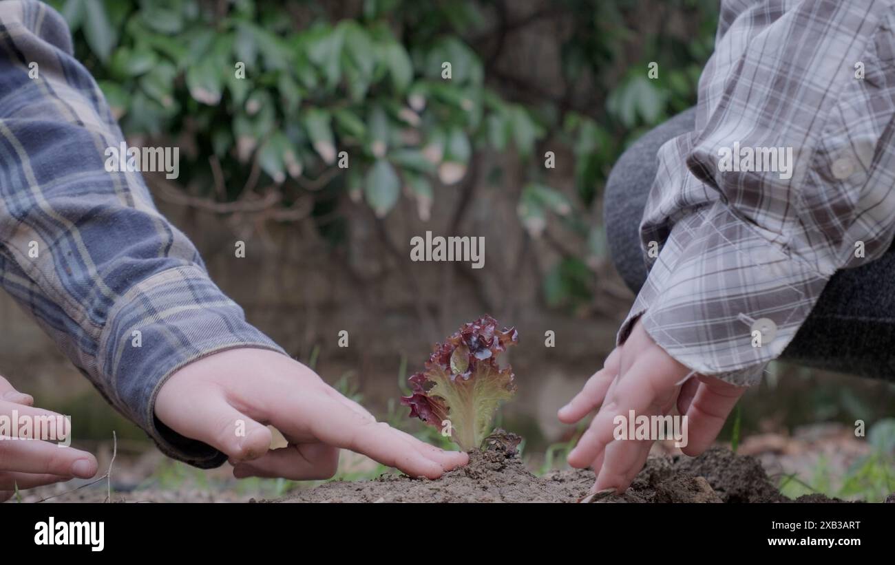 Boy planting a new tree, concept Save the Earth, save the world, save ...