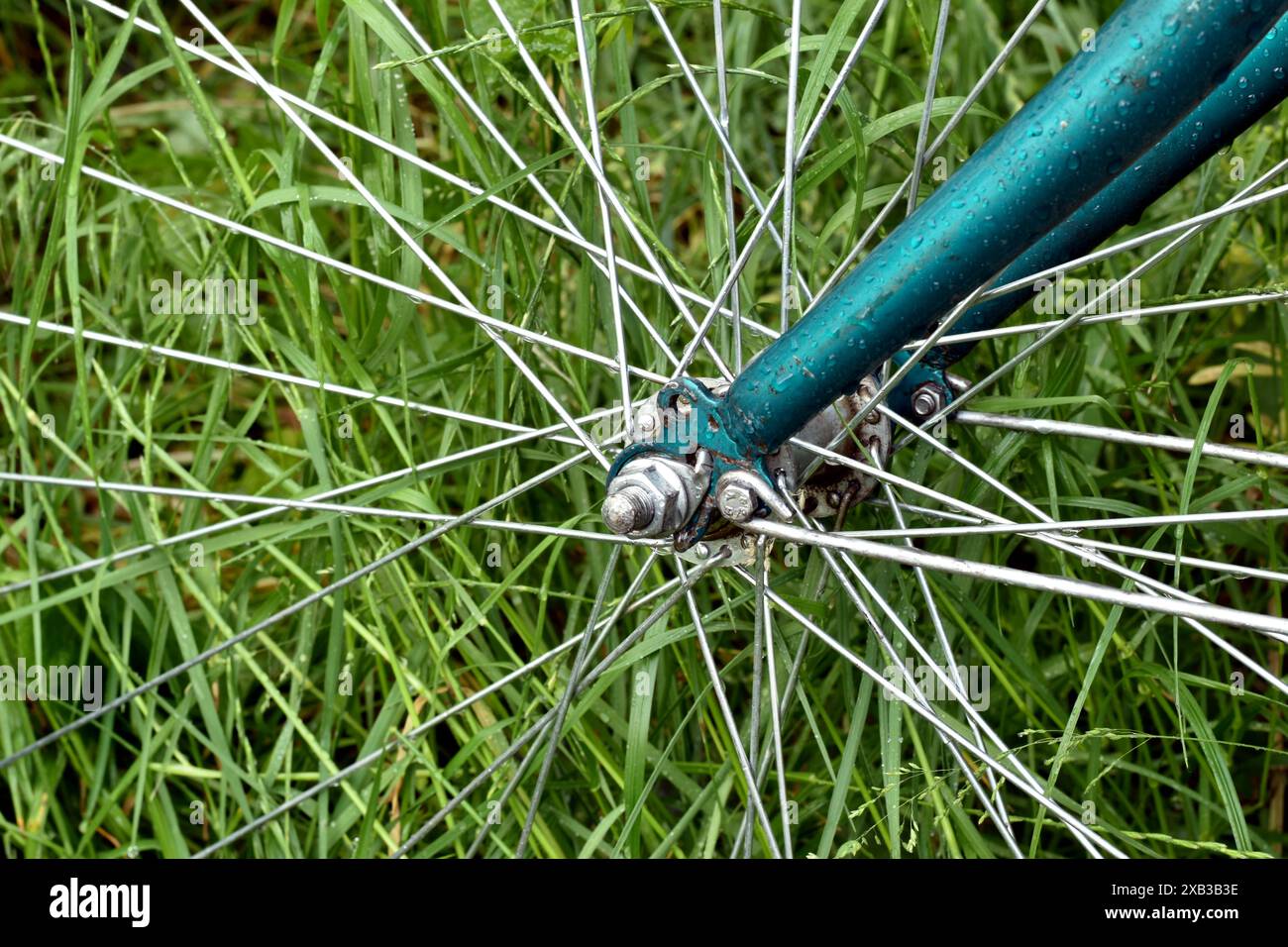 Close-up of the front wheel of a bicycle. Wheel spokes Stock Photo - Alamy