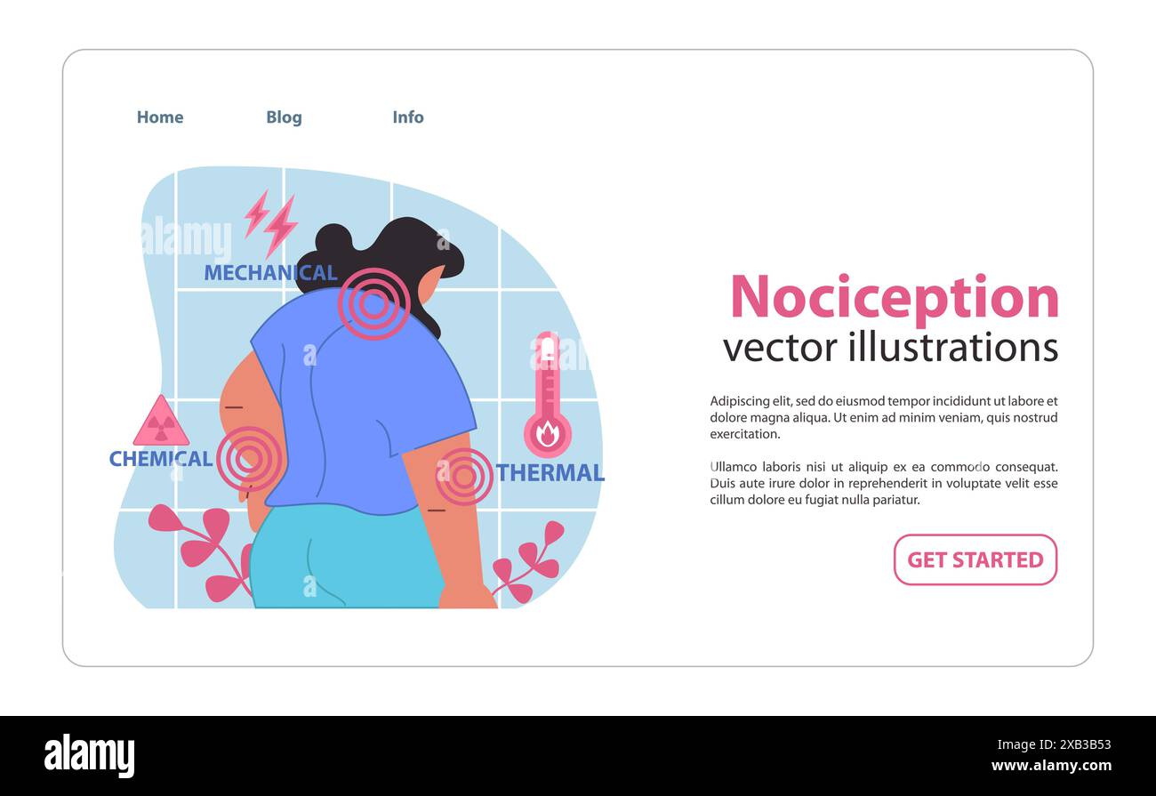 Nociception illustration. Visualization of the body's response to ...