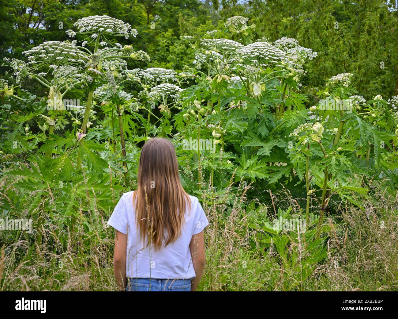 10 June 2024, Brandenburg, Lietzen: A girl stands at the edge of a ...