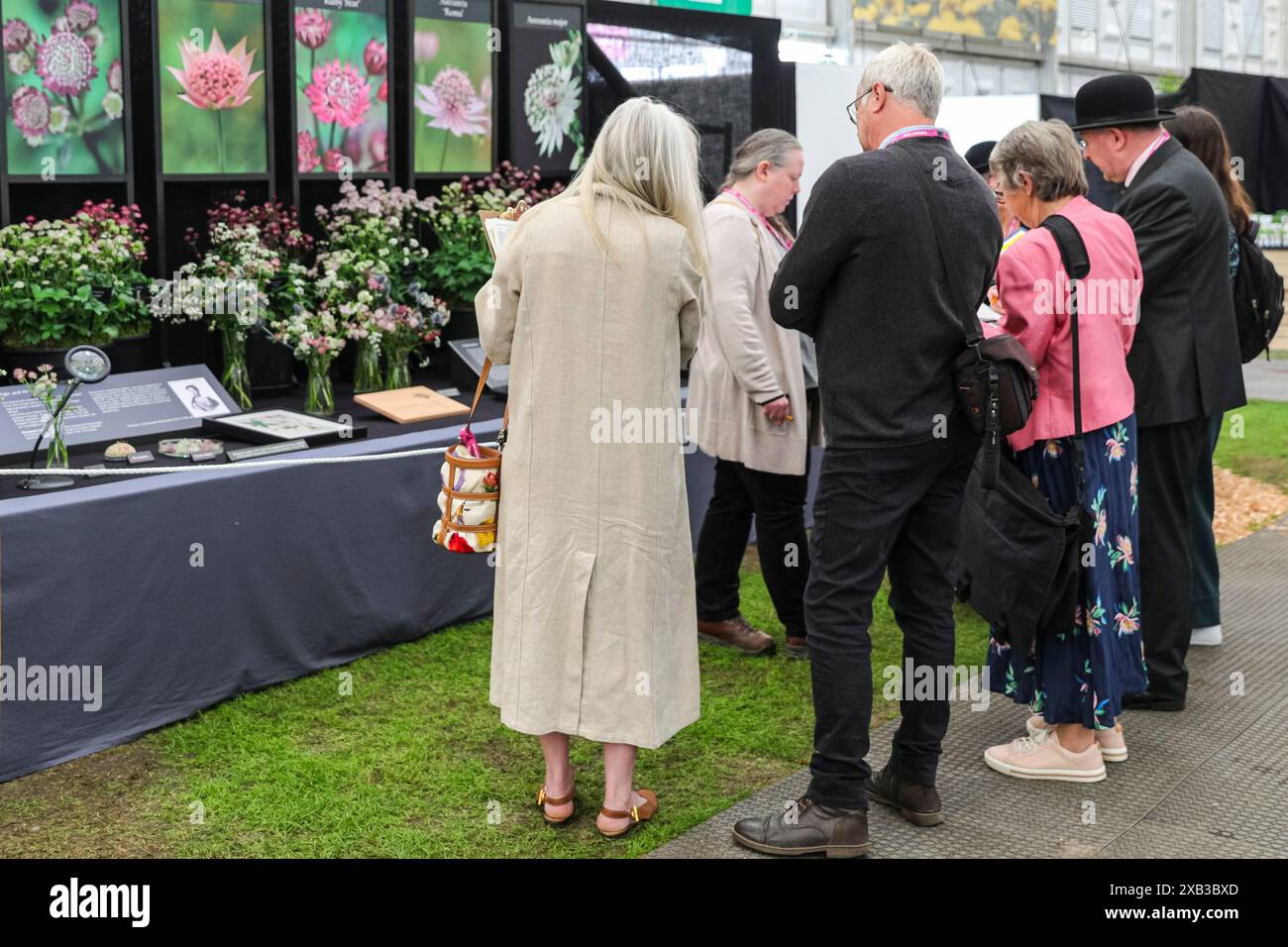 The judges inspect and judge a display in the Great Pavillion at RHS ...