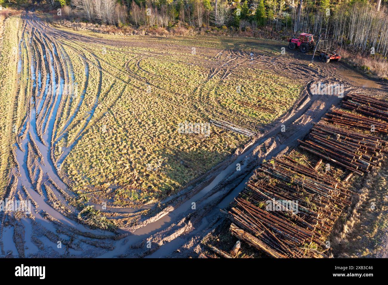 Aerial view tree nursery hi-res stock photography and images - Alamy