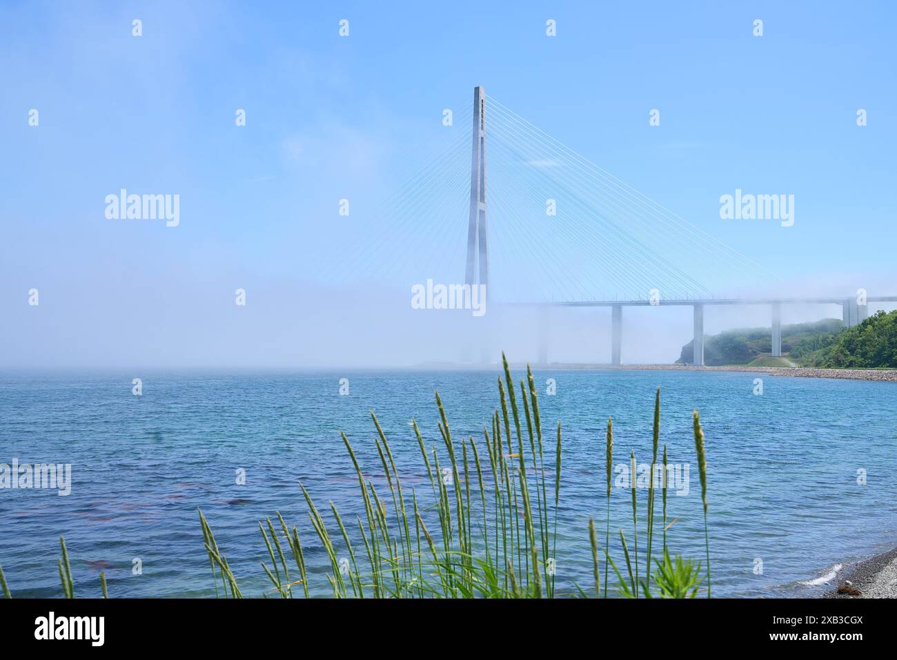 Vladivostok. 10th June, 2024. This photo taken on June 10, 2024 shows ...