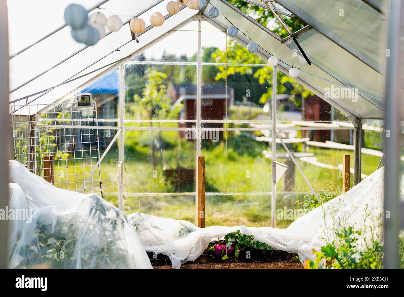 Covered with netting hi-res stock photography and images - Alamy