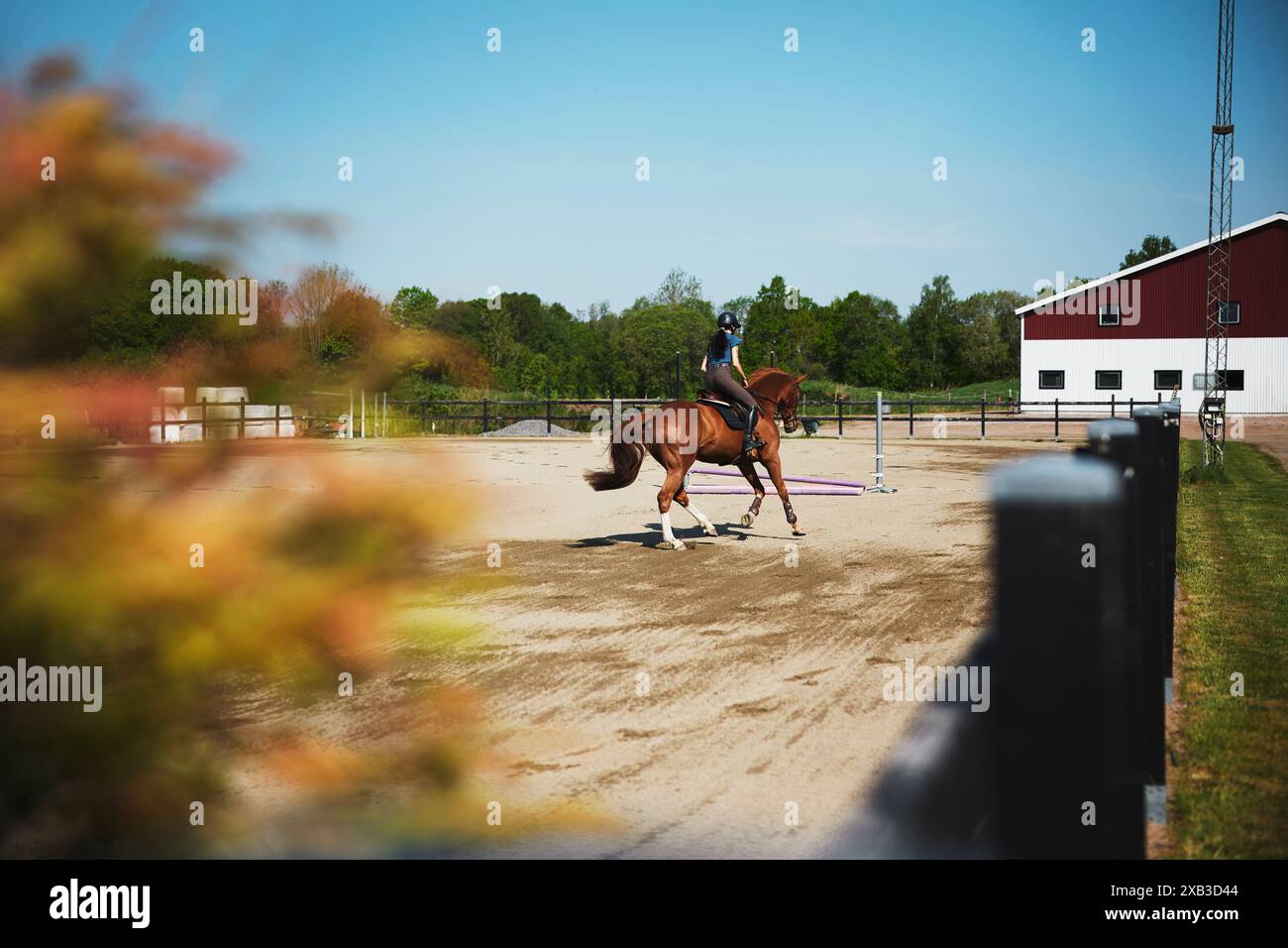 Female jockey riding horse at ranch on sunny day Stock Photo - Alamy