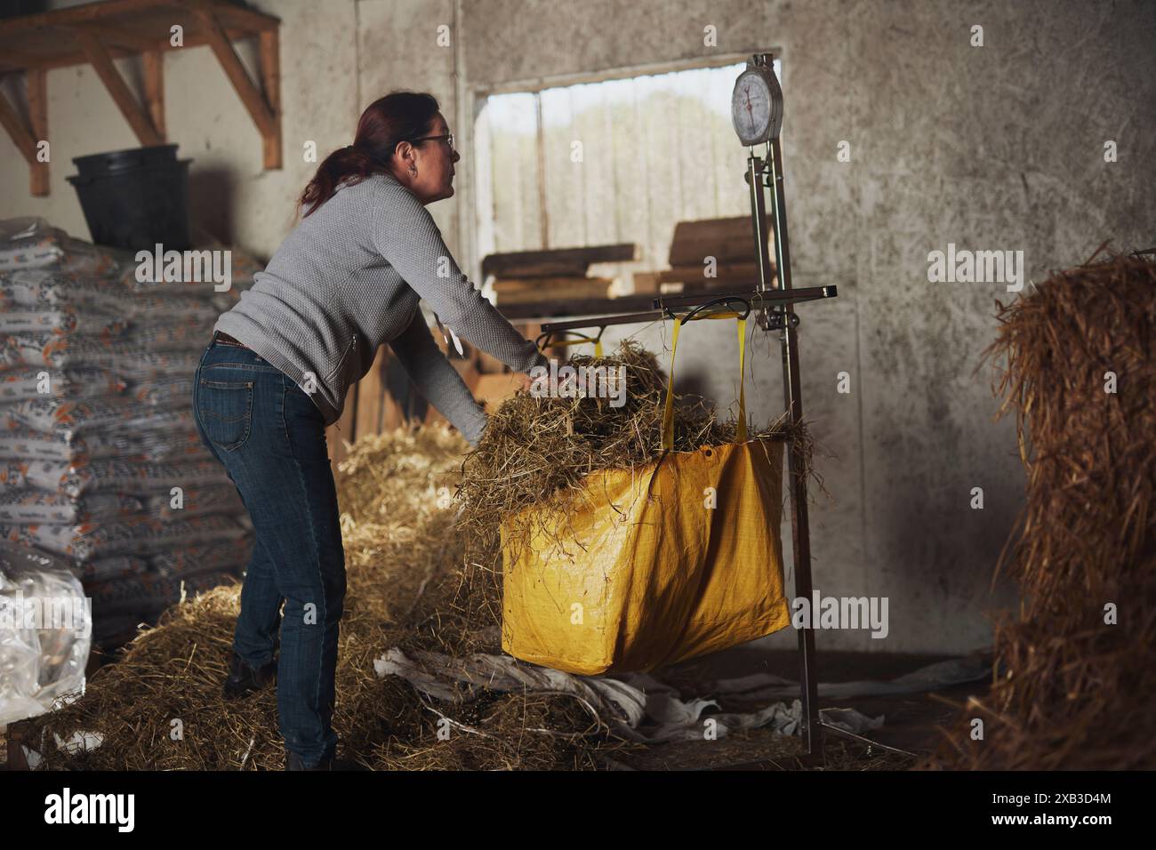 Side view of female worker weighing hay at barn Stock Photo - Alamy
