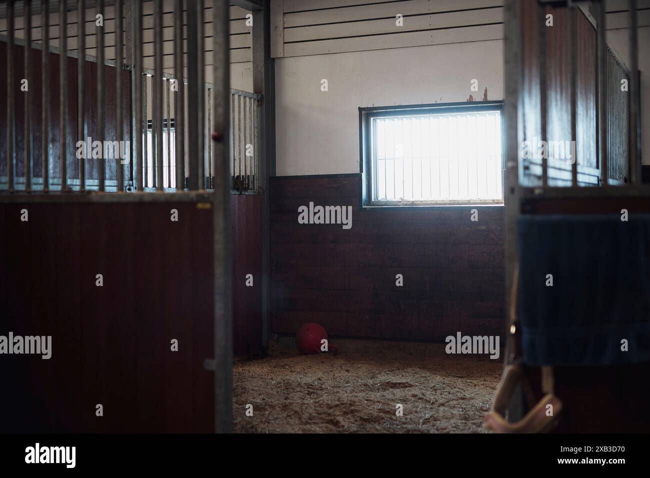 Empty bright stable at ranch Stock Photo - Alamy