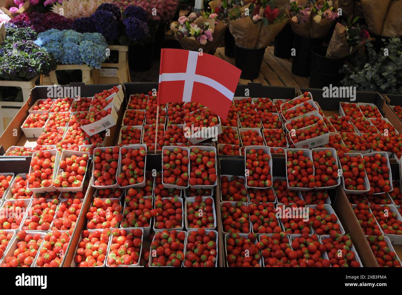 Copenhagen/ Denmark/10 JUNE 2024/Fruit and flowers vendors sells danis ...
