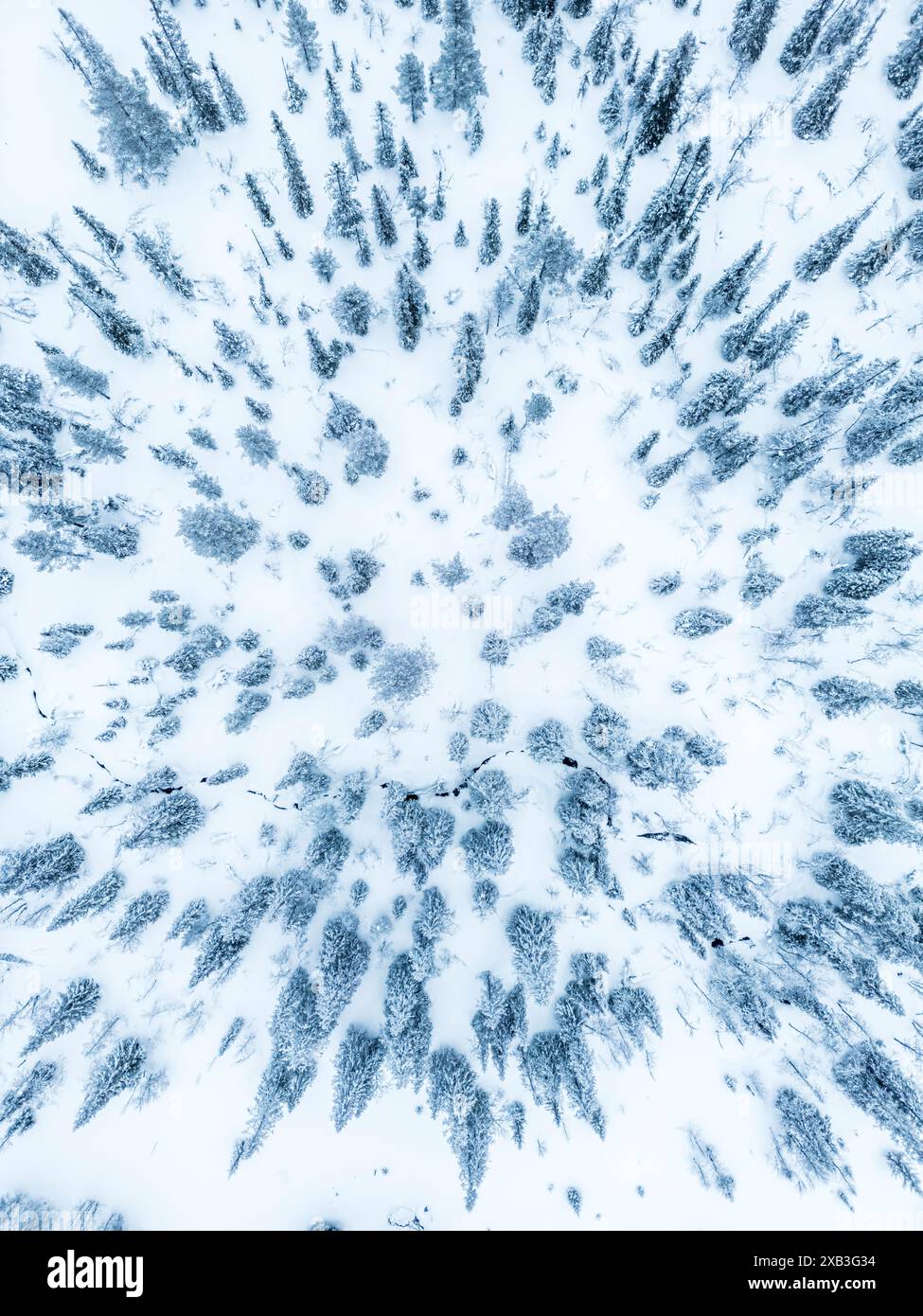 Aerial frozen forest hi-res stock photography and images - Alamy