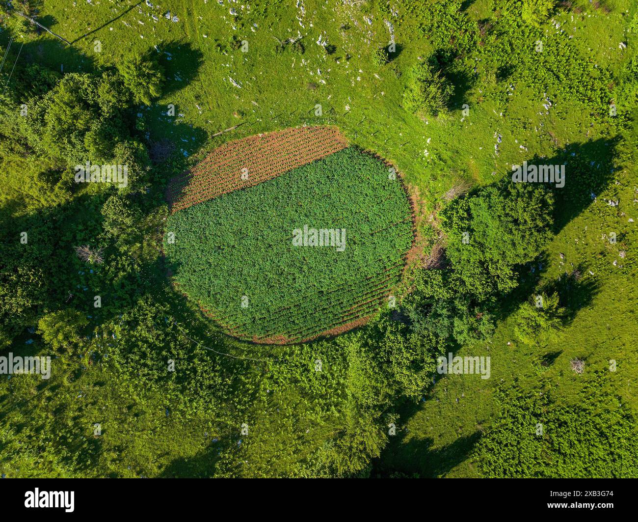 Aerial view of a circular field in Lika region, Croatia Stock Photo - Alamy