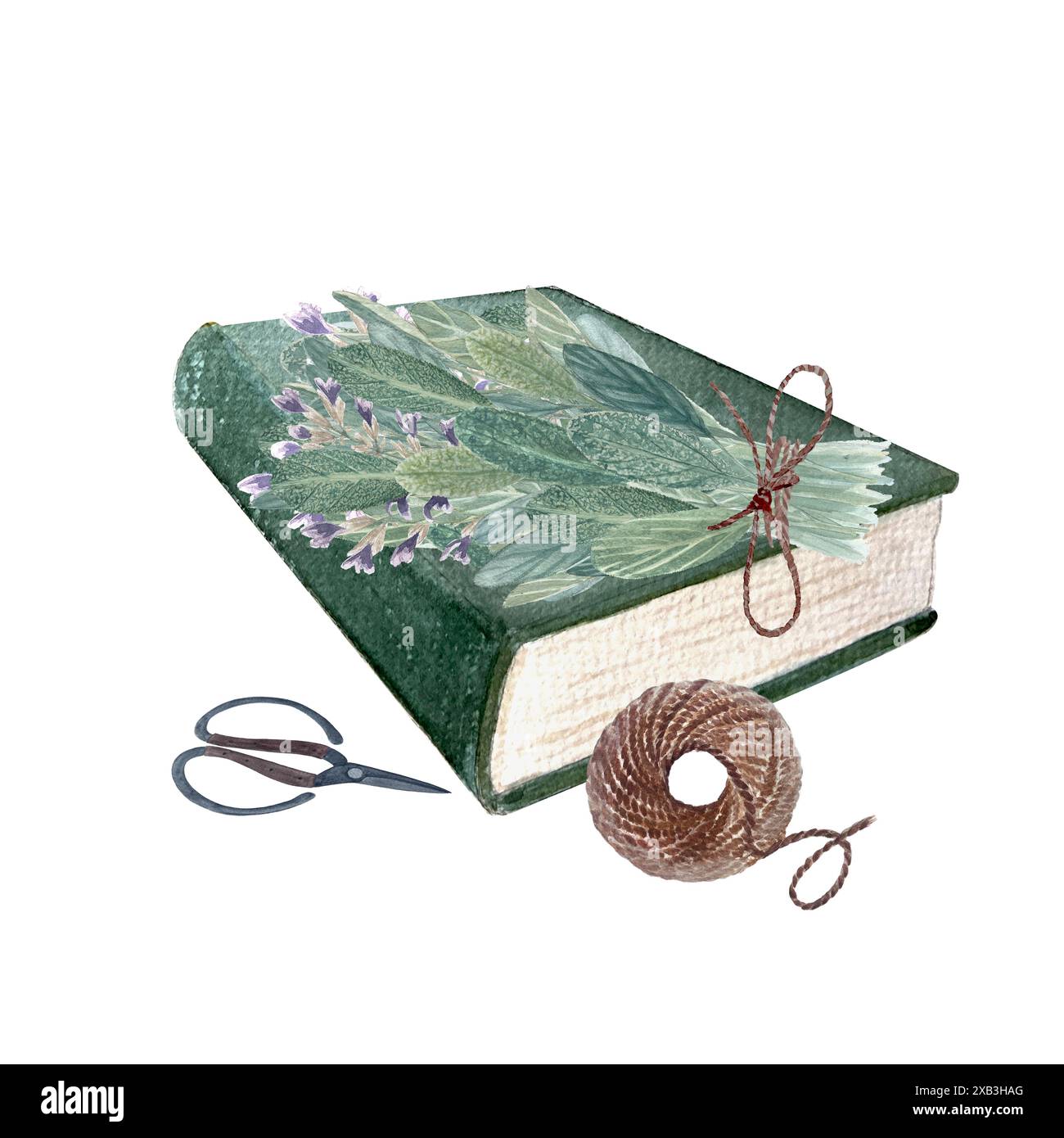 Green hardcover book with sage bunch, jute rope, scissors watercolor ...